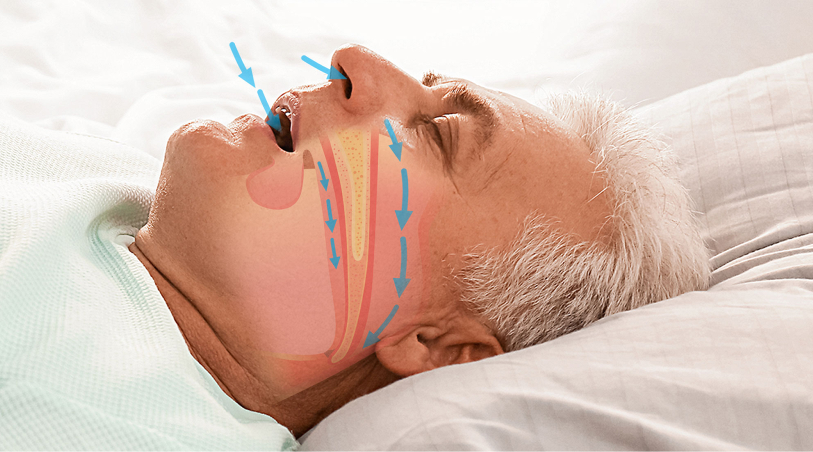 Top 5 Pillows for Neck Support and Better Sleep